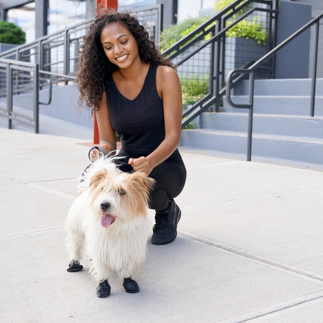 PawZ Boots – PawzDogBoots