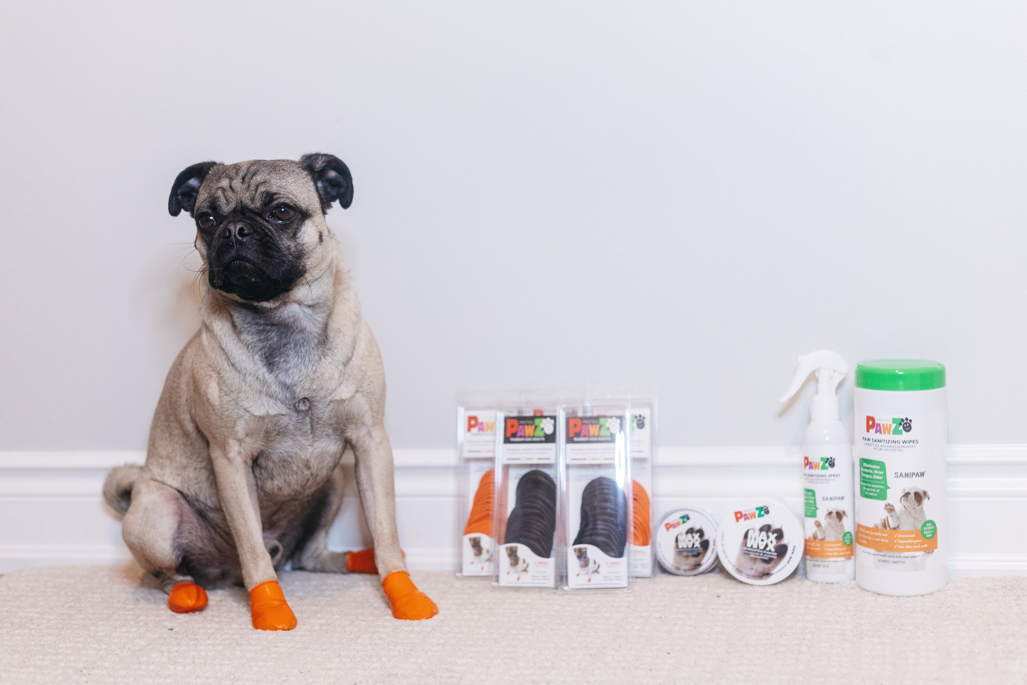 PawZ Rubber Dog Boots, 12 Boots, Classic Colors – PawzDogBoots